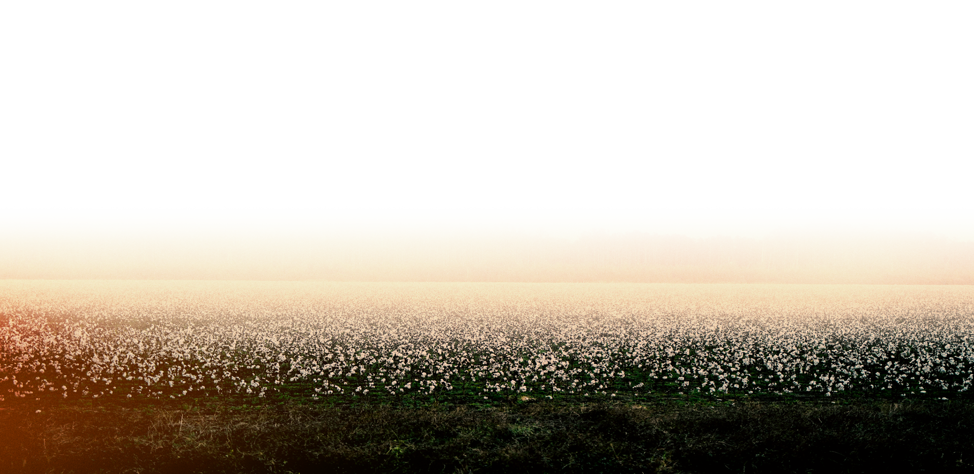 ORIGIN: A Learning Companion – ARRAY 101